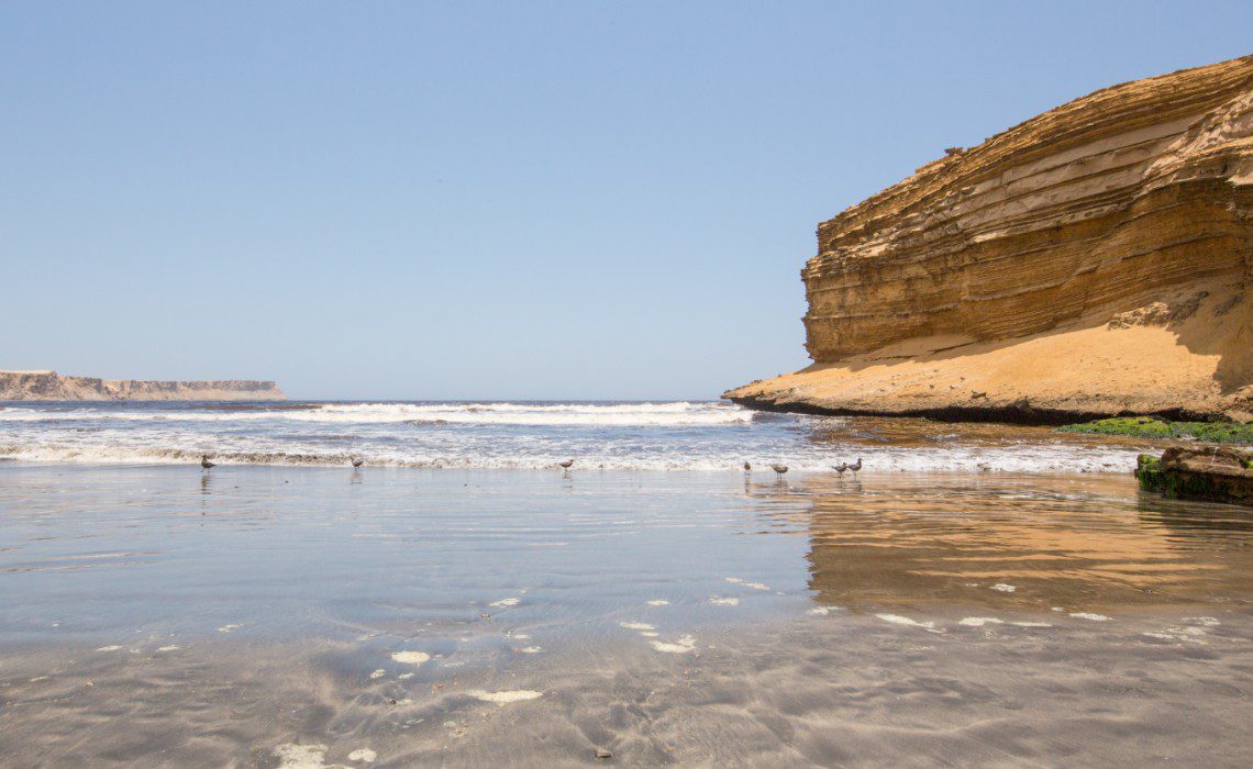 5 Best Things To Do In Paracas What To Do In Paracas 5-best-things-to-do-in-paracas-what-to-do-in-paracas
